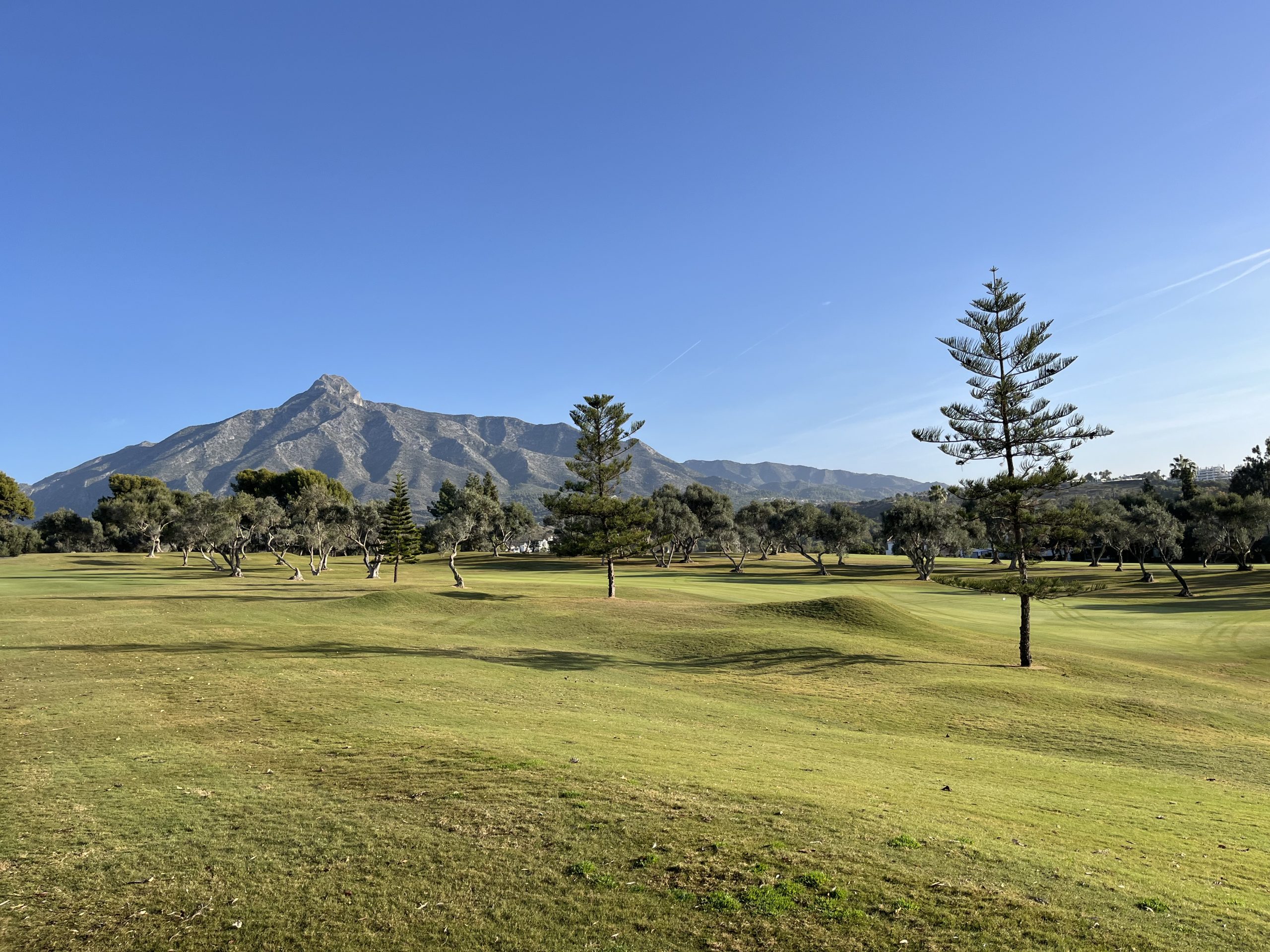 El Servicio de Agronomía Sostenible de The R&A cierra un 2025 histórico ...